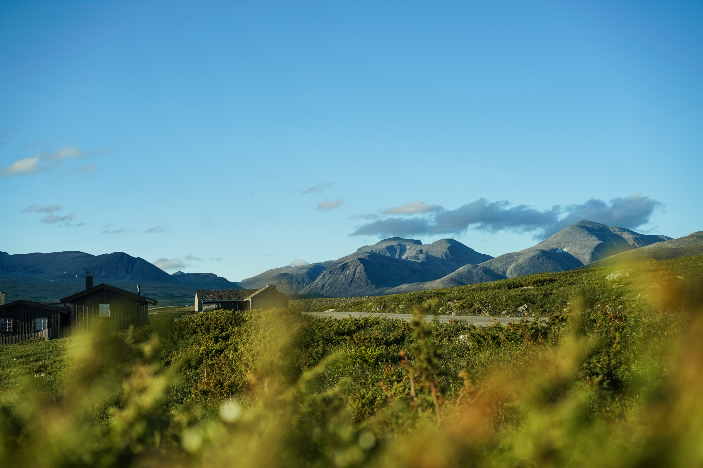 Rondane National Park | Guide to activities and accommodation ...
