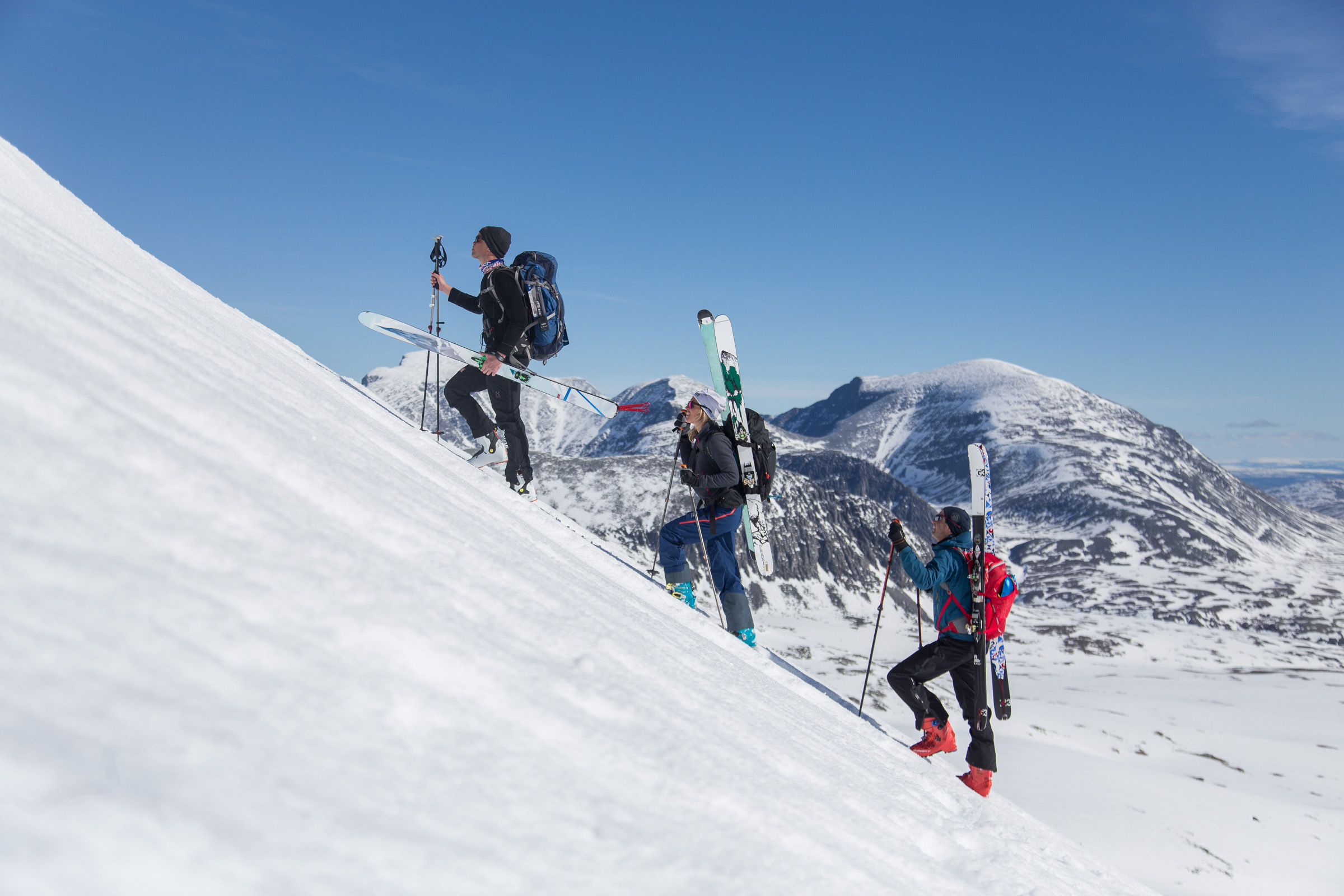 Topptur og randonee i Nord-Gudbrandsdalen | Nasjonalparkriket