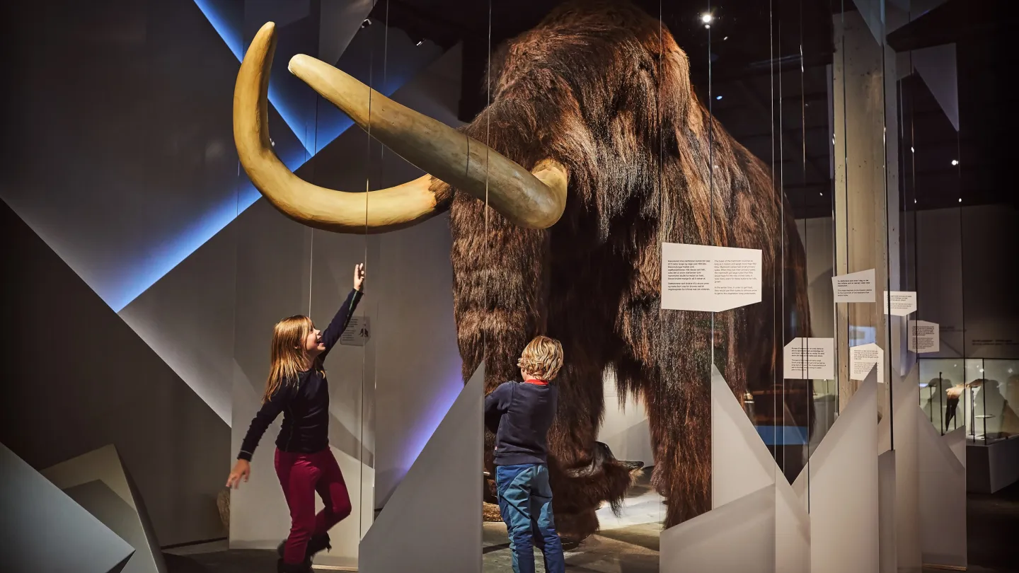 Lom | Opplevelser og overnatting | Nasjonalparkriket